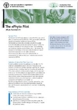 IPPC - International Plant Protection Convention