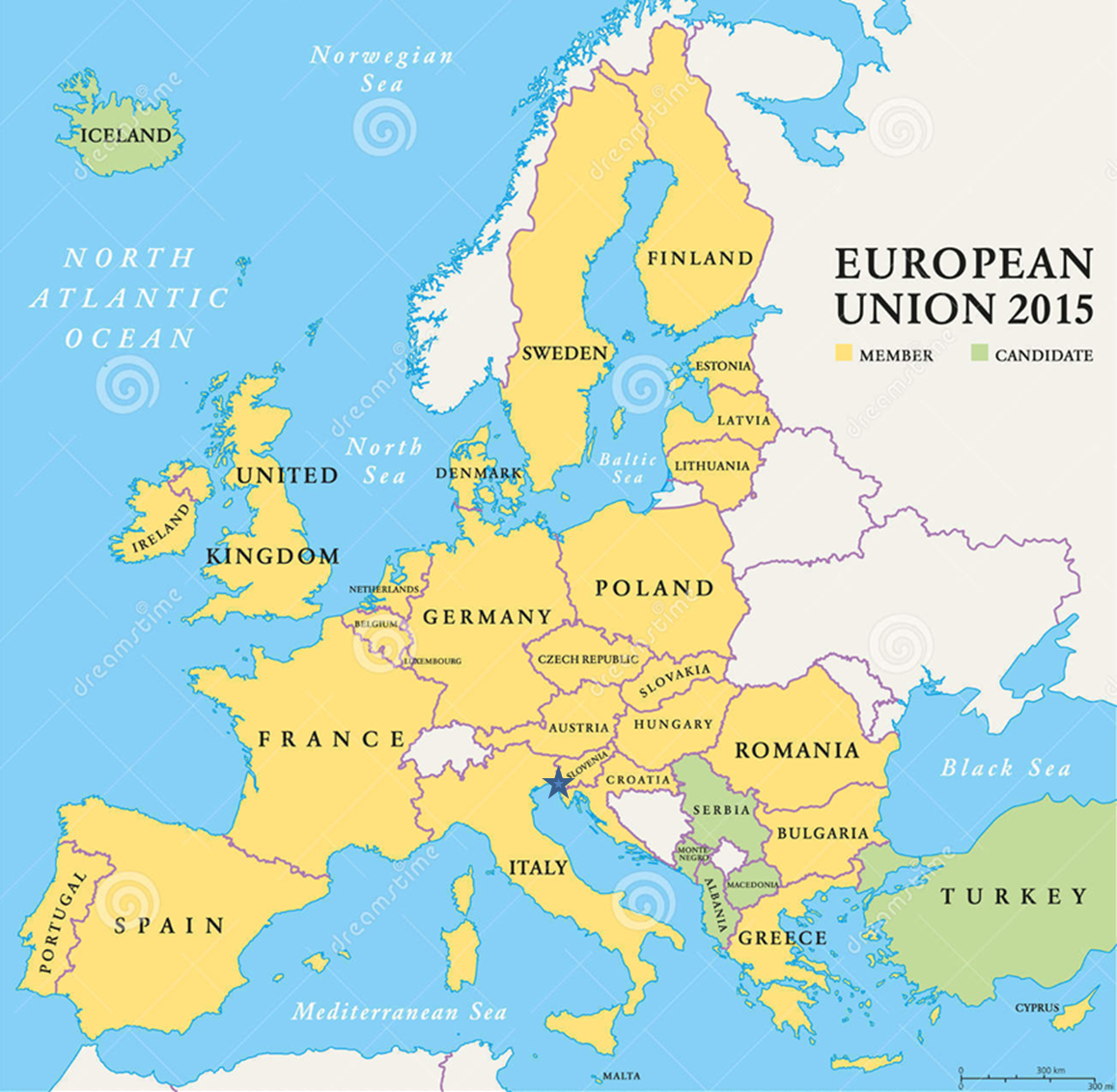 Latest Reporting Obligation - International Plant Protection Convention