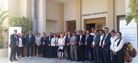 CIPF - Convención Internacional de Protección Fitosanitaria