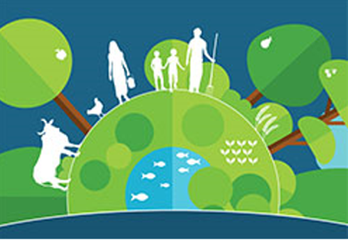 National Plant Protection Organizations contributions to addressing ...