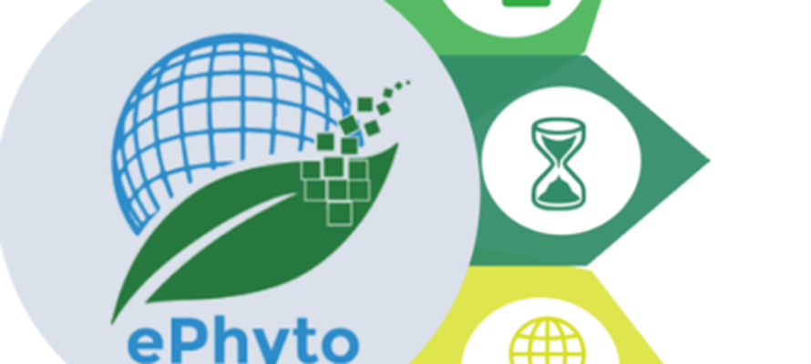 IPPC - International Plant Protection Convention