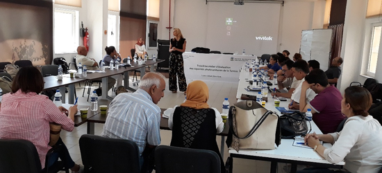 IPPC - International Plant Protection Convention