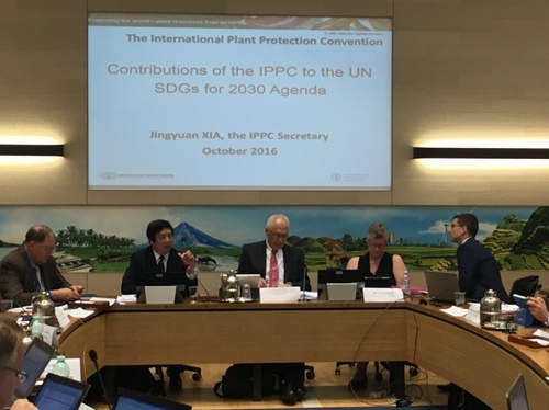 The Contribution of the IPPC to Achieving UN SDGs for 2030 Agenda ...
